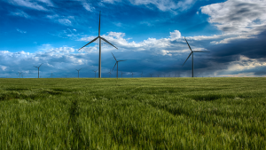 Understanding Power Purchase Contracts - Power Settlements